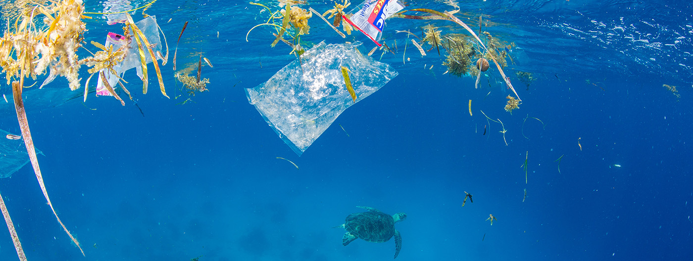 ocean pollution display